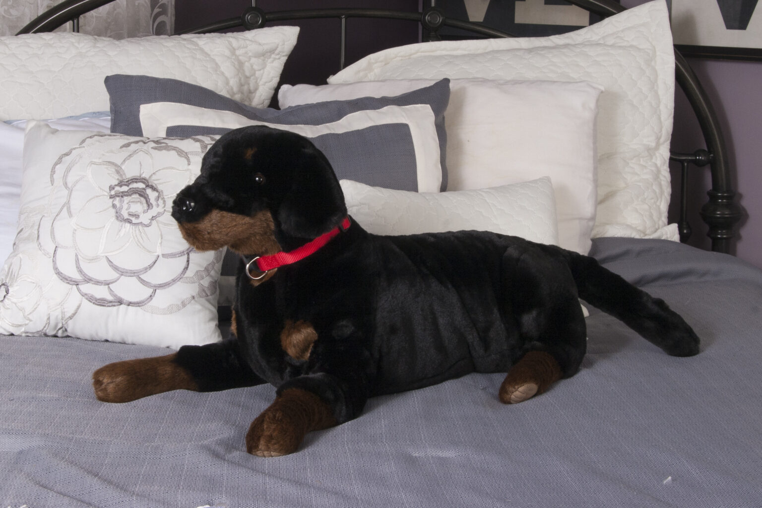 Rottweiler Best Friend - Ditz Designs by The Hen House