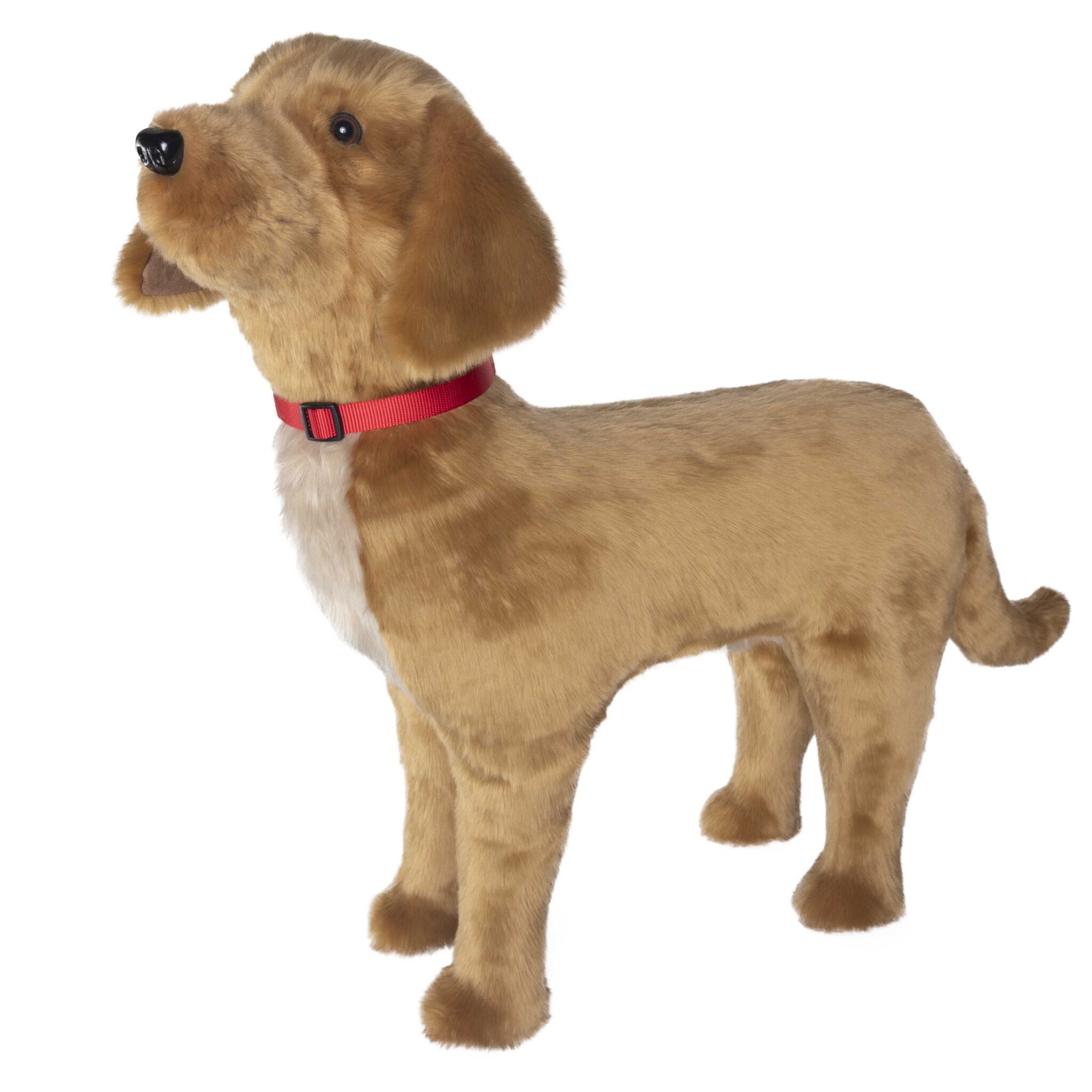 Golden Retriever Footrest - Ditz Designs by The Hen House